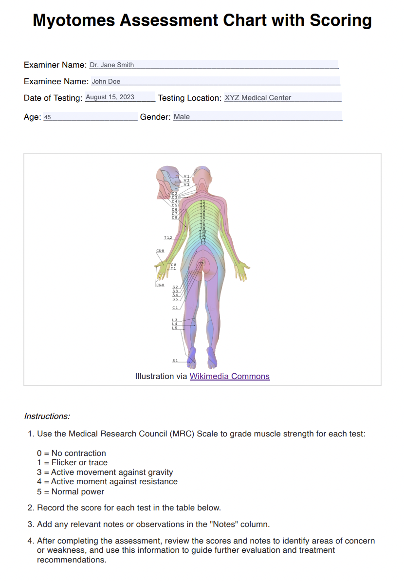 Myotome Chart